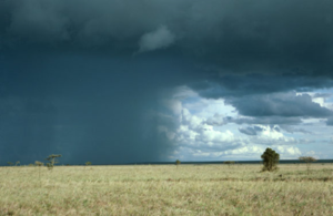 Weather module - DSSAT.net