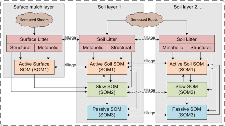 Century (Parton) Soil Organic Matter Module - DSSAT.net