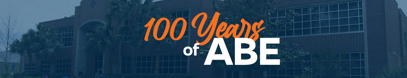 Development and Evolution of the DSSAT Cropping System Model for Local ...