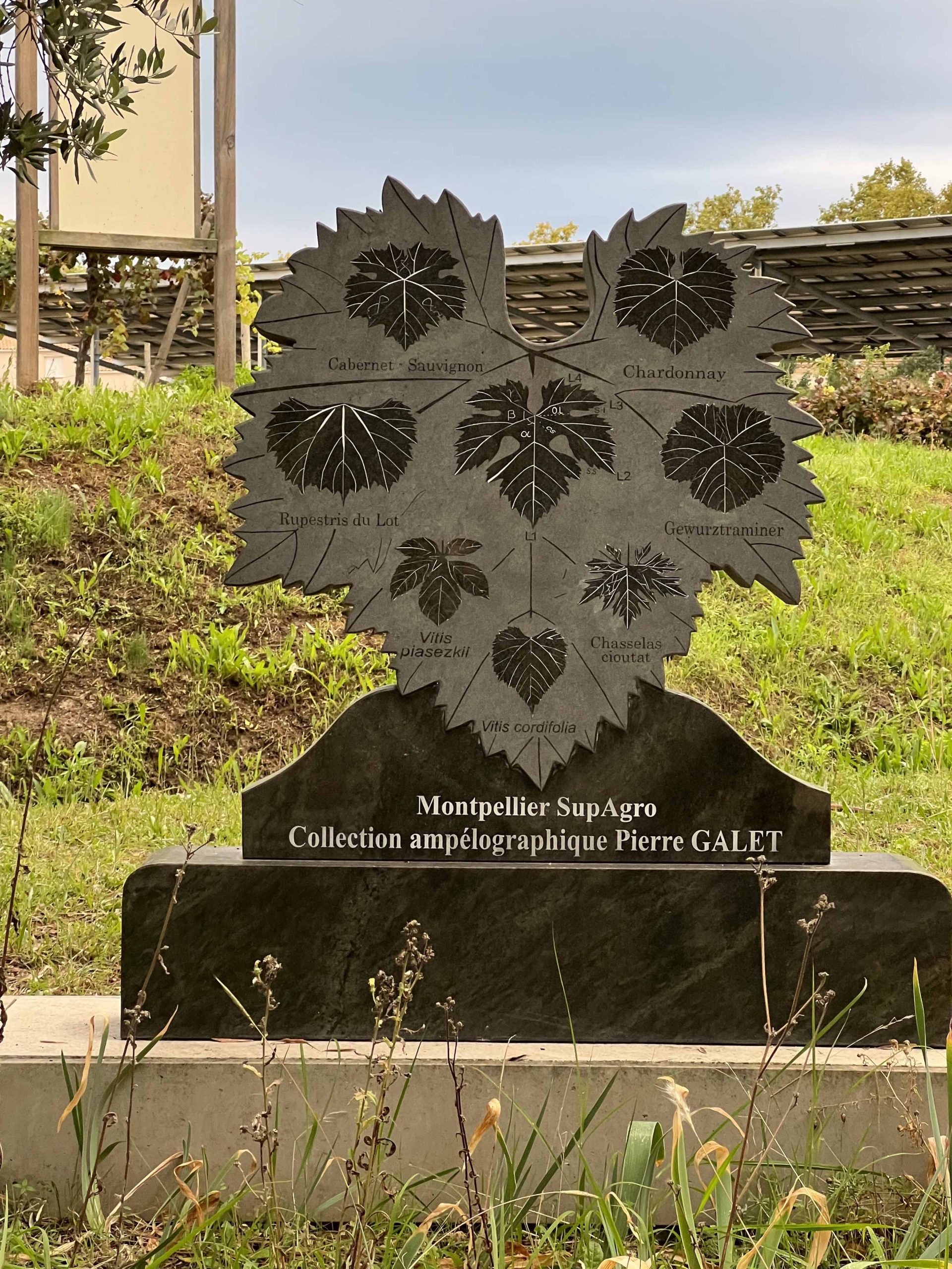 12th AMEI Development Sprint - DSSAT.net