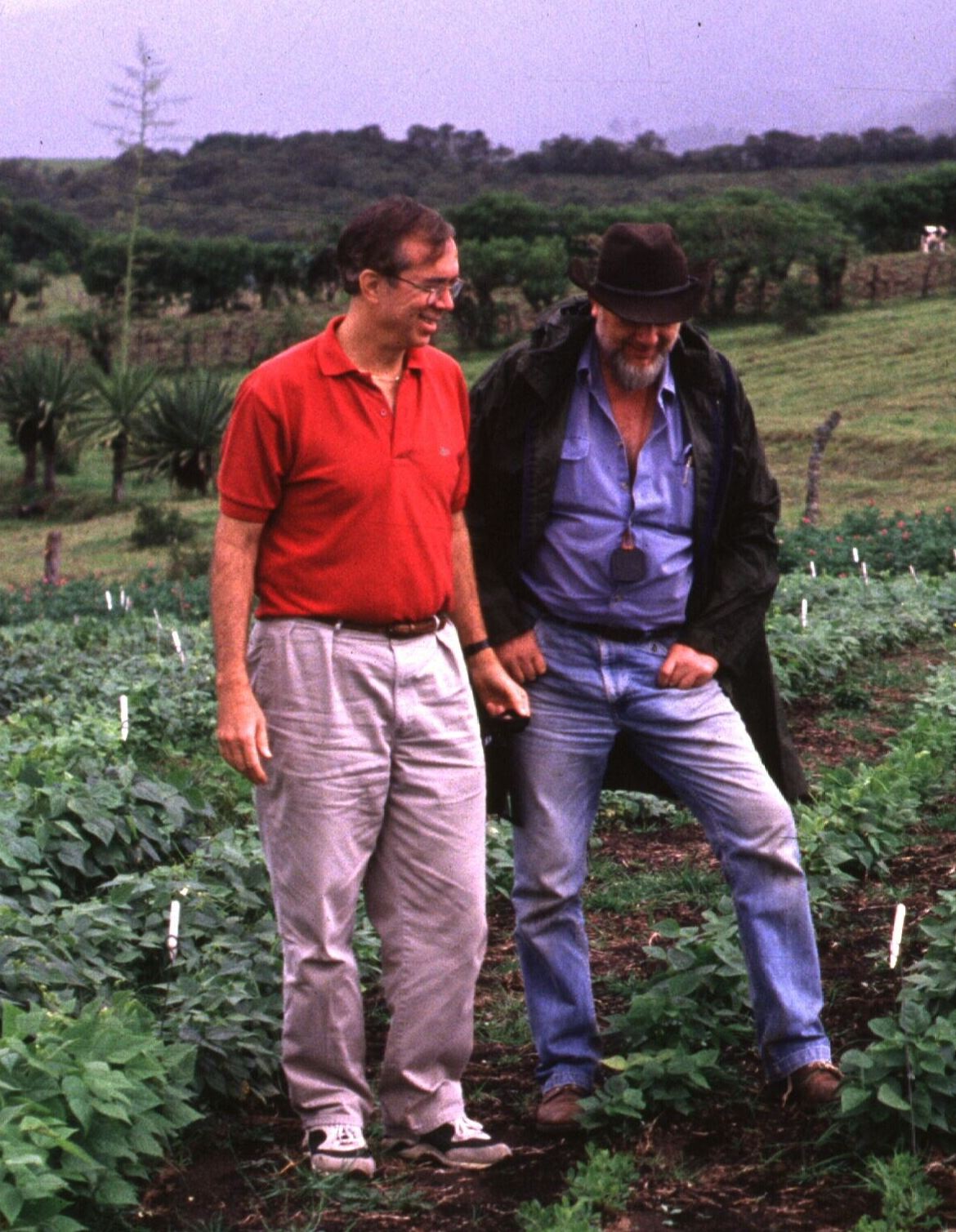 Remembering Peter Jones, Pioneer in Understanding Crop Adaptation ...