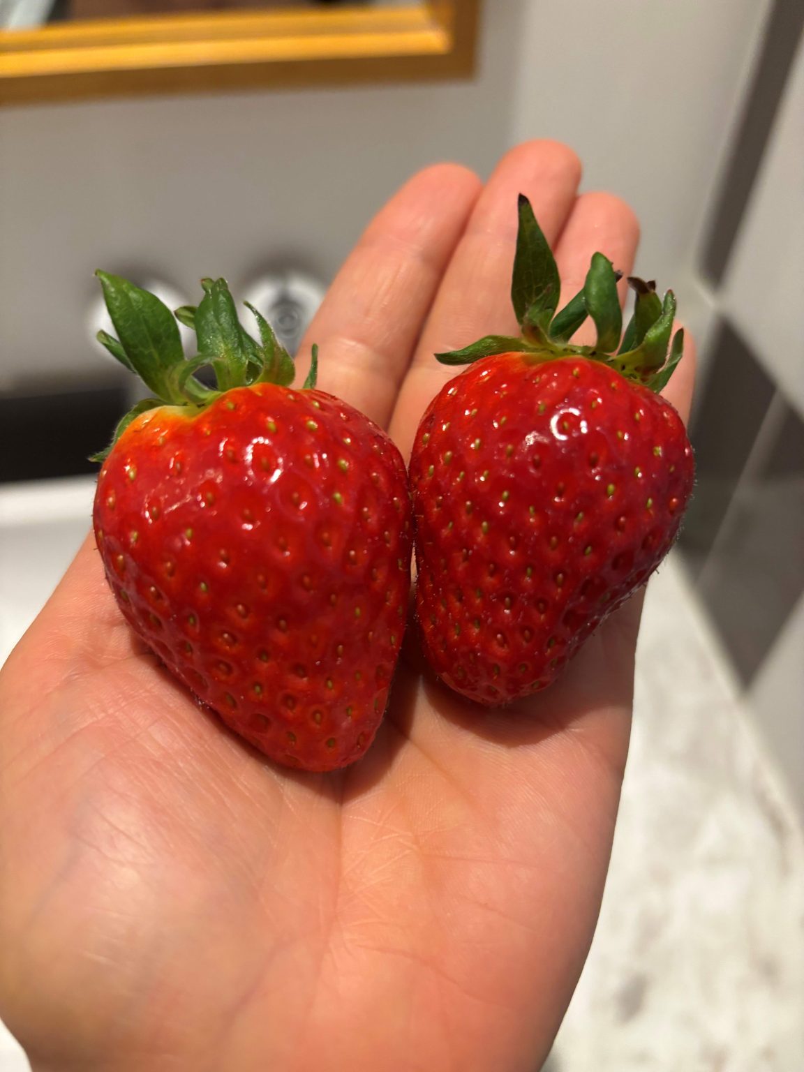 DSSAT 2025 - Rural Development Administration Training Program on the ...